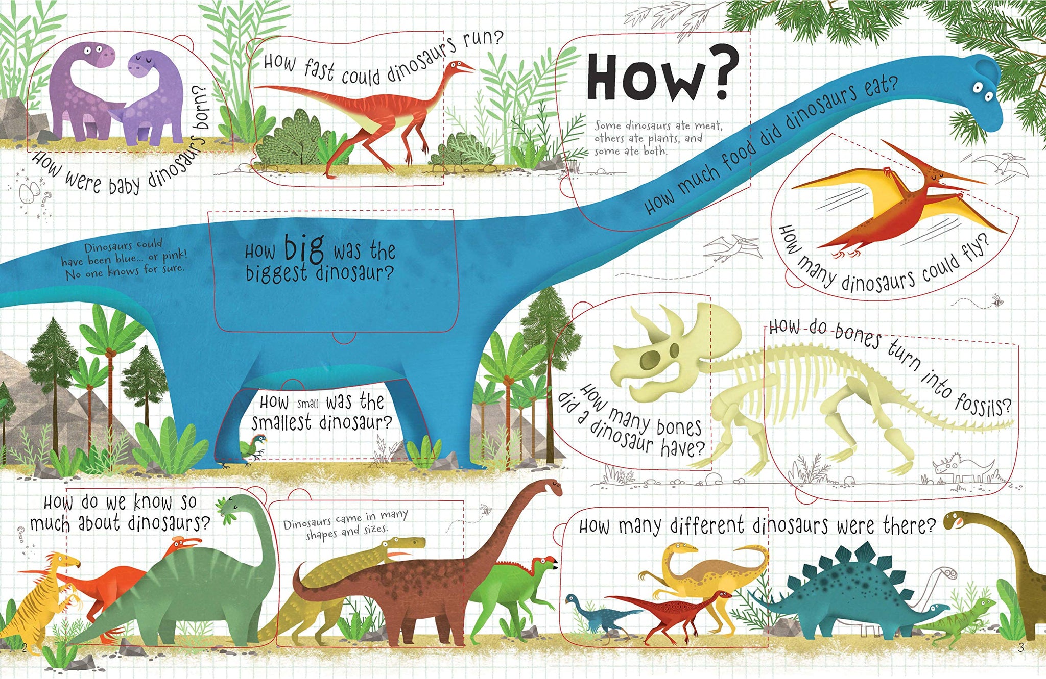 Dinosaur Questions