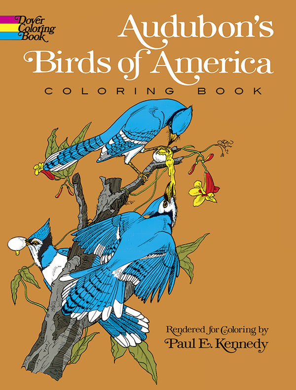 Birds of America Coloring Book - West Side Kids Inc